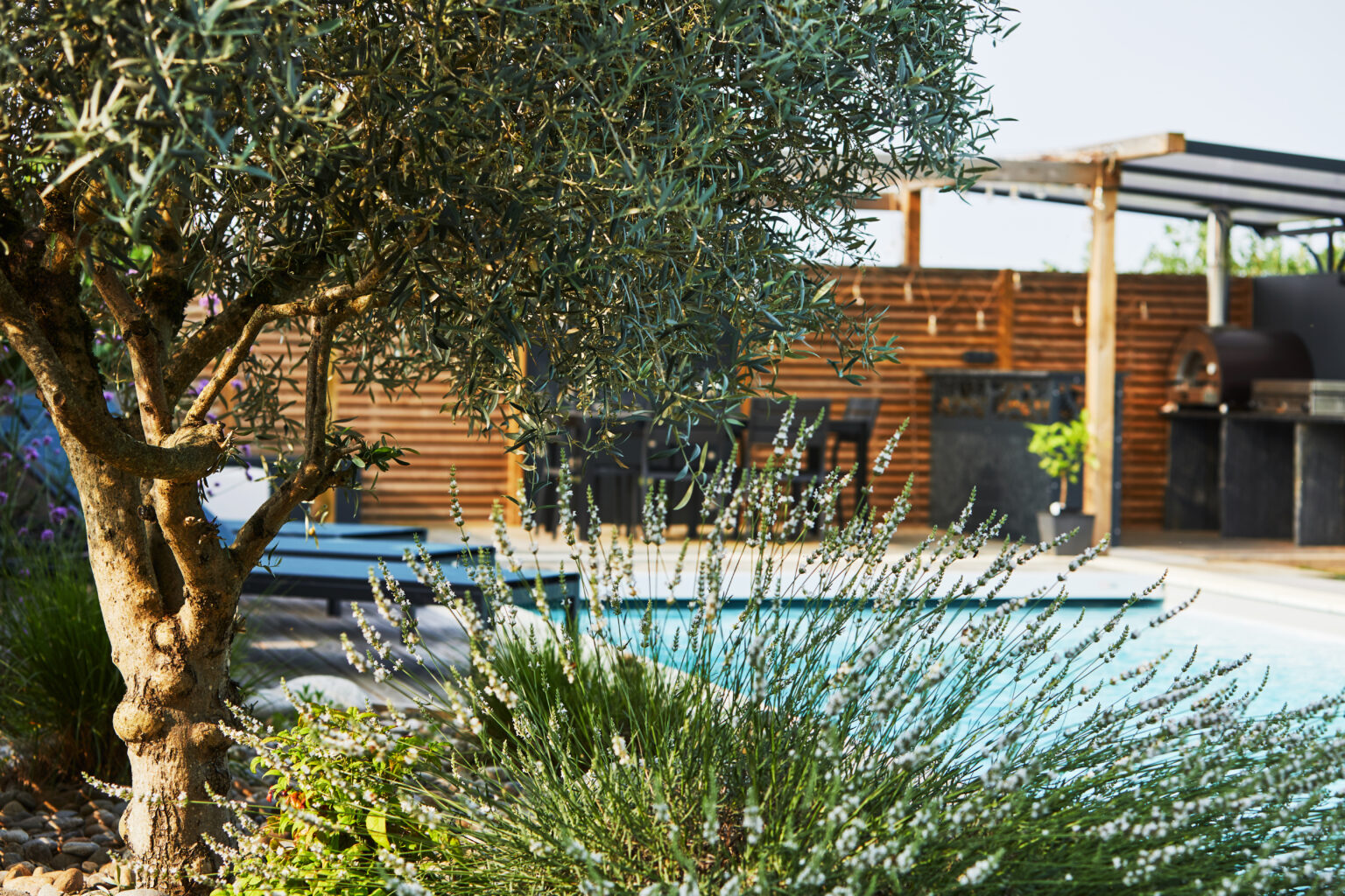 Paysagiste Haute-Vienne – Création de jardins