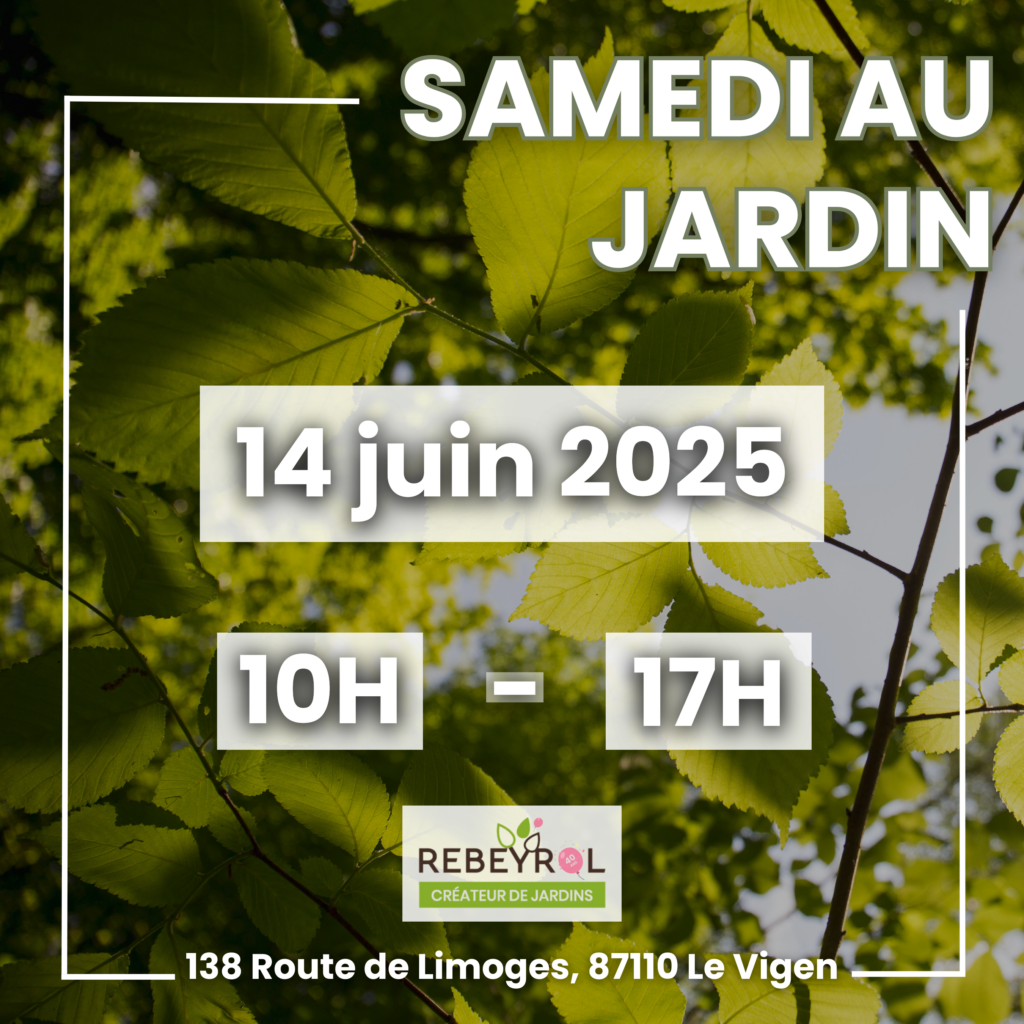 Nos créations | Rebeyrol Créateur de Jardins - Créateur de Jardins