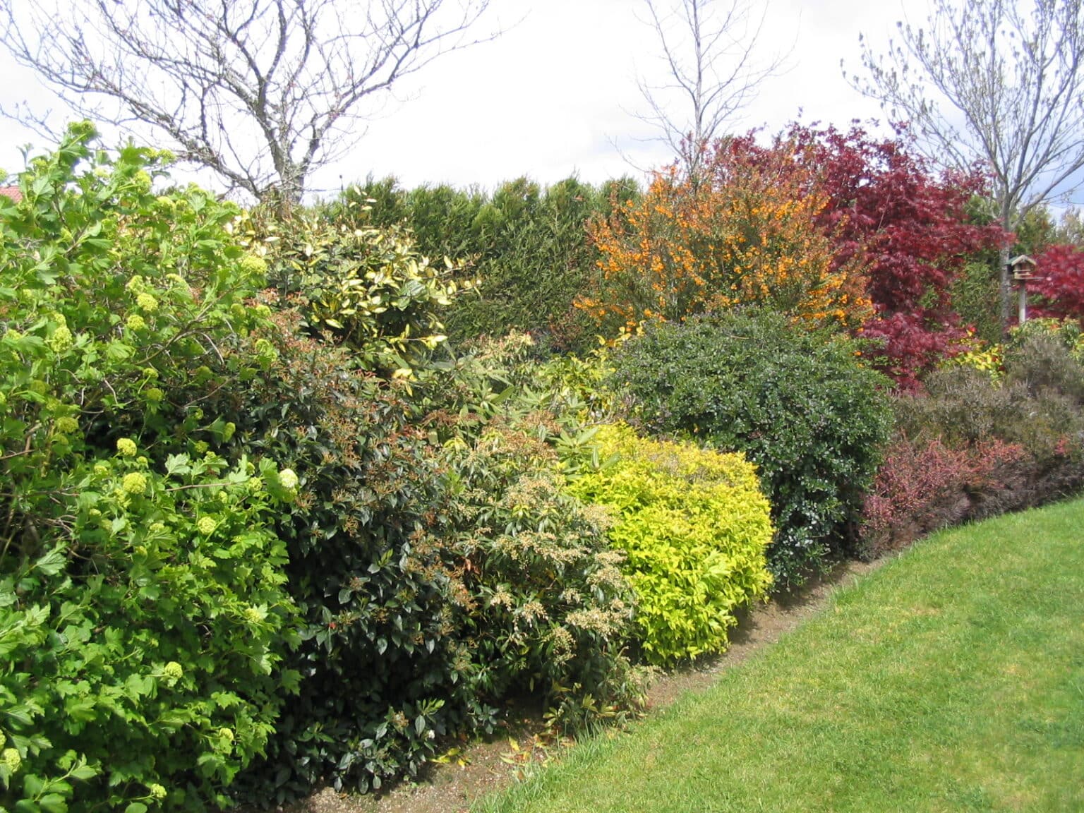 Jardin durable en Haute-Vienne : la méthode paysagère Rebeyrol
